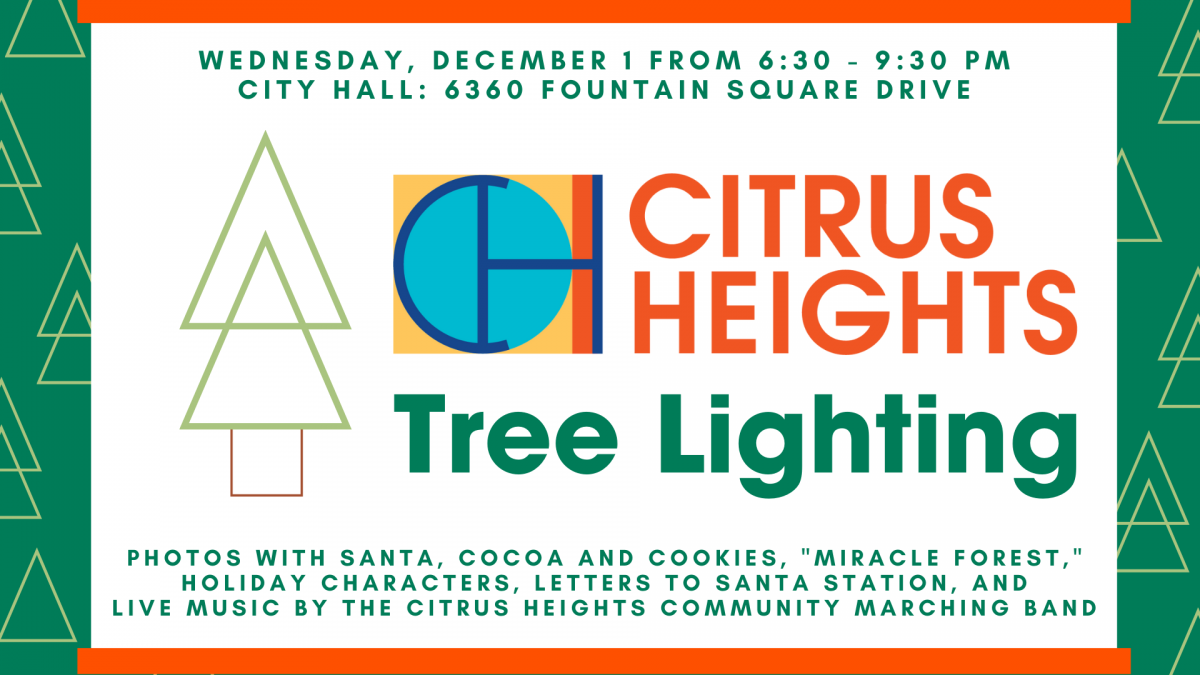 Citrus Heights Tree Lighting - Sunrise MarketPlace - Citrus Heights